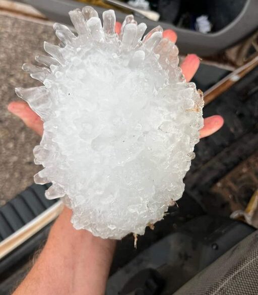 Diamond shingles - Fish Scale shingles - Dragon Scale Shingles - Beaver ...